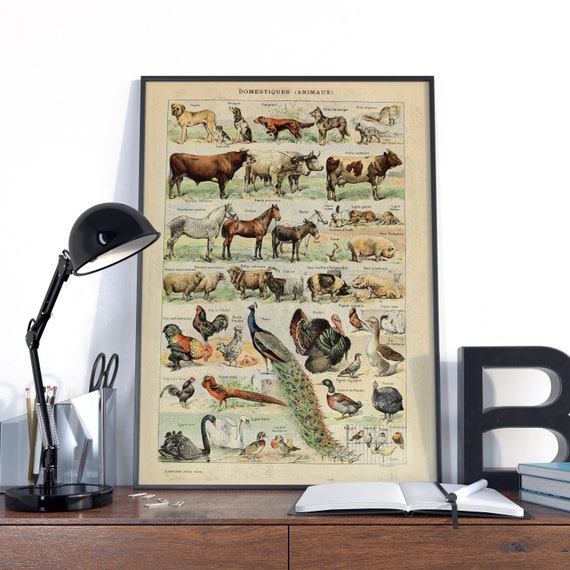 Adolphe Philippe Millot Adolphe Philippe Millot Poster - Etsy