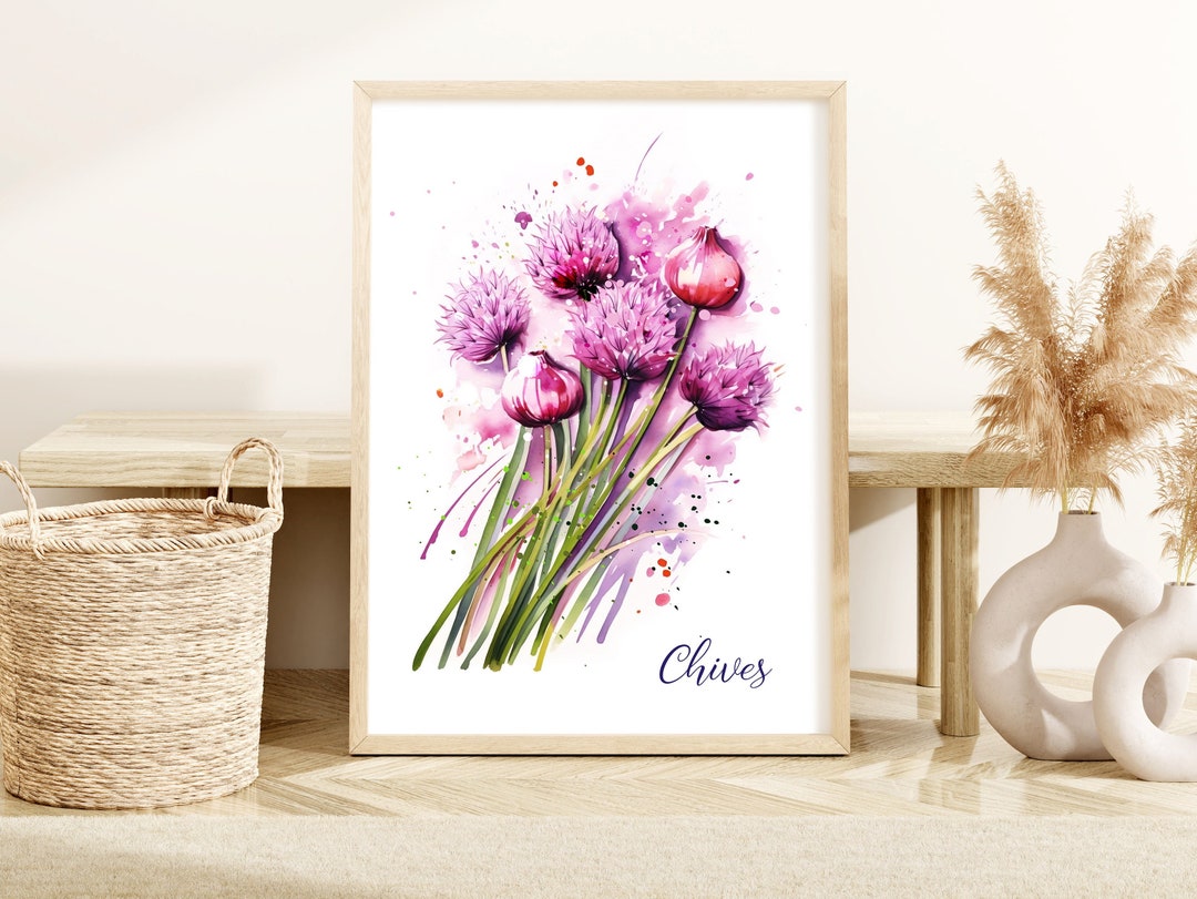 Green Grace: the Watercolor Wonder of Chive's Delicate Dance, Chives ...