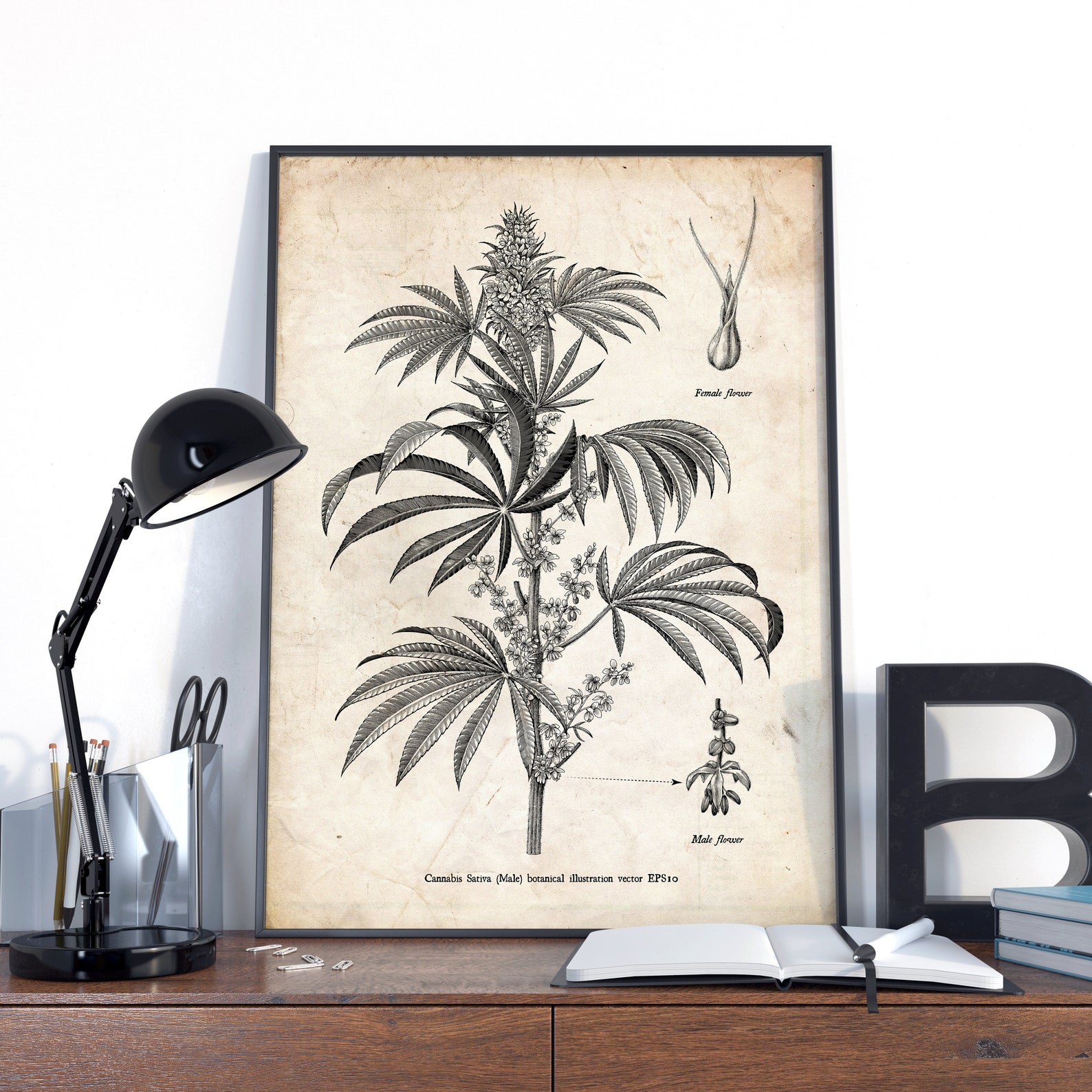 Cannabis Botanical Print Cannabis Vintage Artwork Marijuana | Etsy