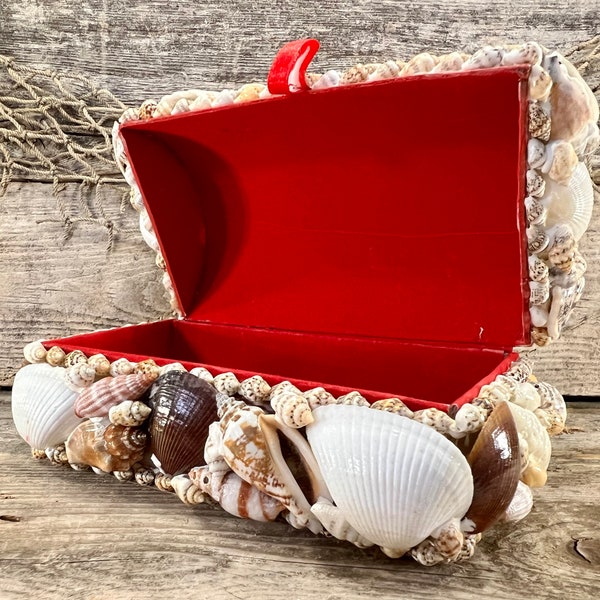 Seashell Jewelry Box - Etsy