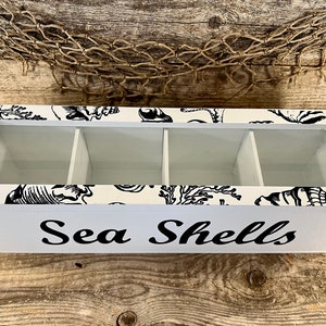 Distressed White and Navy Blue Seashell 4 Compartment Collection Box ...