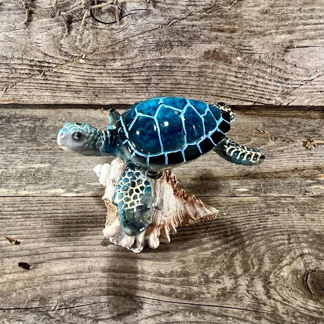 Polyresin Blue Sea Turtle on Seashell Base Spring Bobble - Etsy
