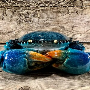Realistic Blue Crab Polyresin Secret Trinket Jewelry Box With Hinged ...