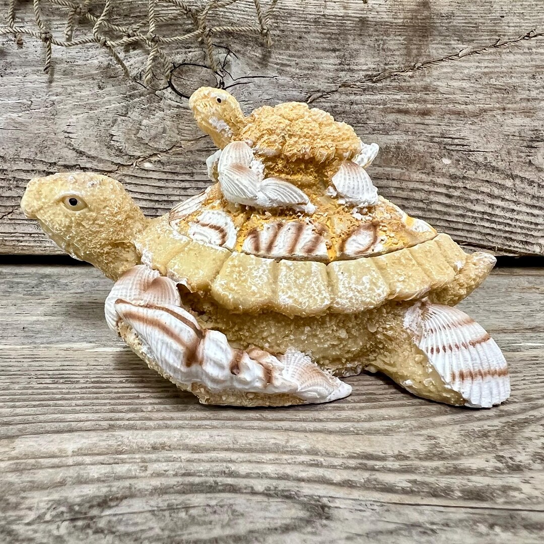Sea Turtle Jewelry Box Resin Sand and Seashells Mother Baby Hidden ...