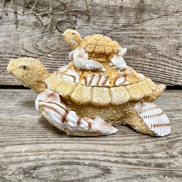 Turtle Jewelry Box - Etsy