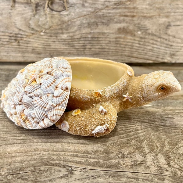 Turtle Trinket Box - Etsy