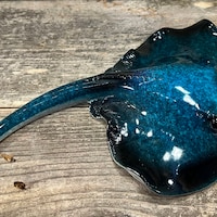 Mini Stingray - Etsy