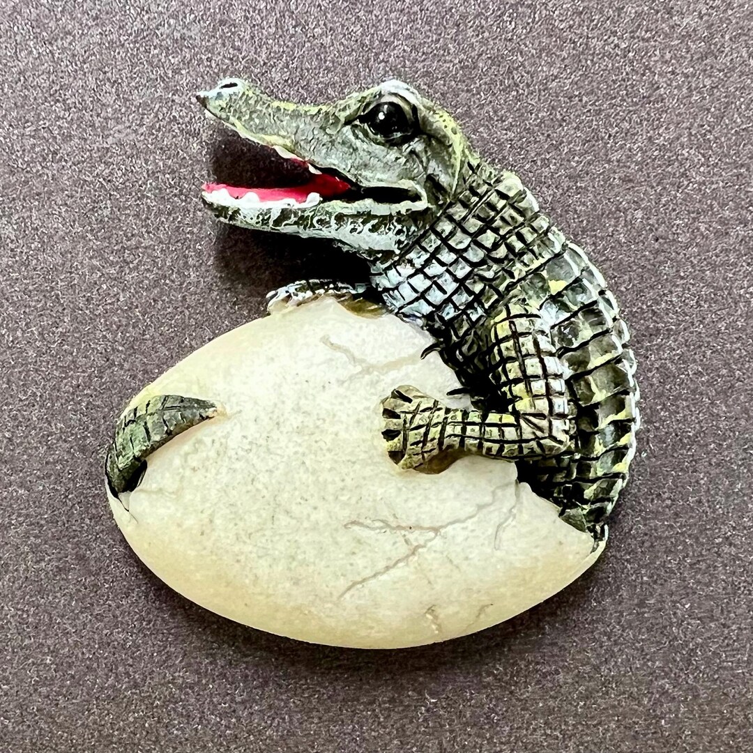Alligator Hatchling Magnet: Hand-painted Resin Gator Decor - Etsy