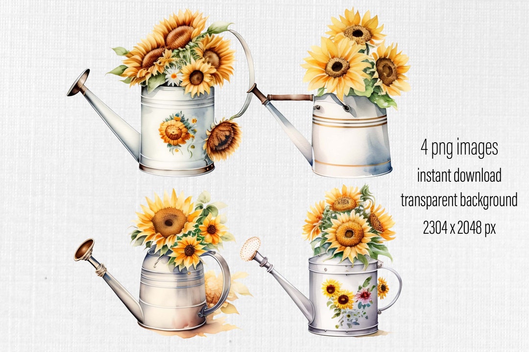 Watercolor Watering Can Clipart, Sunflower Clipart, Wildflower Clipart ...