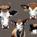 Cow Clipart Farm Animals Clipart Cow PNG Farm Animals Png - Etsy