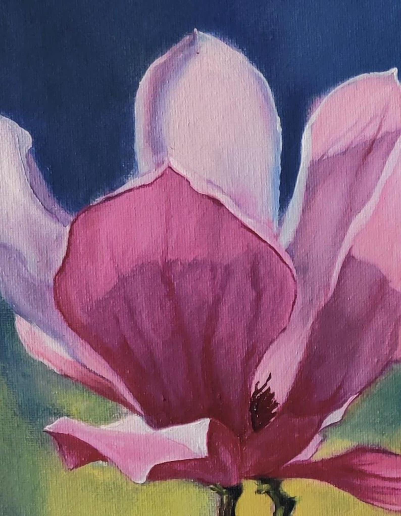 Magnolia. Oil Painting on Canvas 10"x20". - Etsy