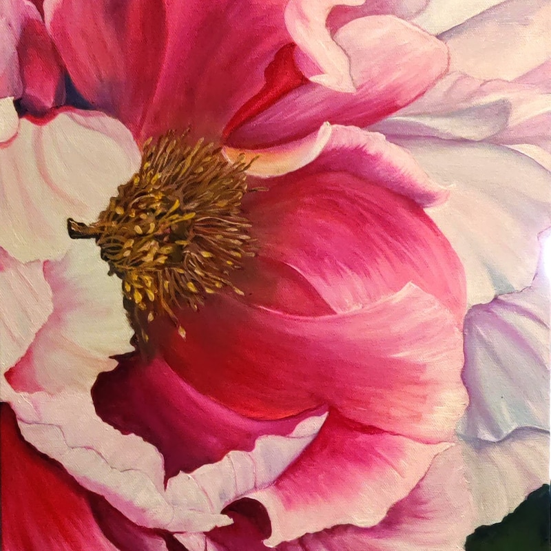 Macro Flowers - Etsy