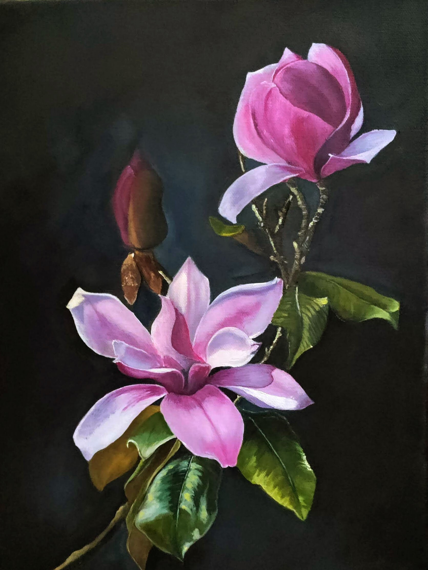Magnolia. Original Oil Painting on Canvas 12x16 Home Decor Wall Art ...