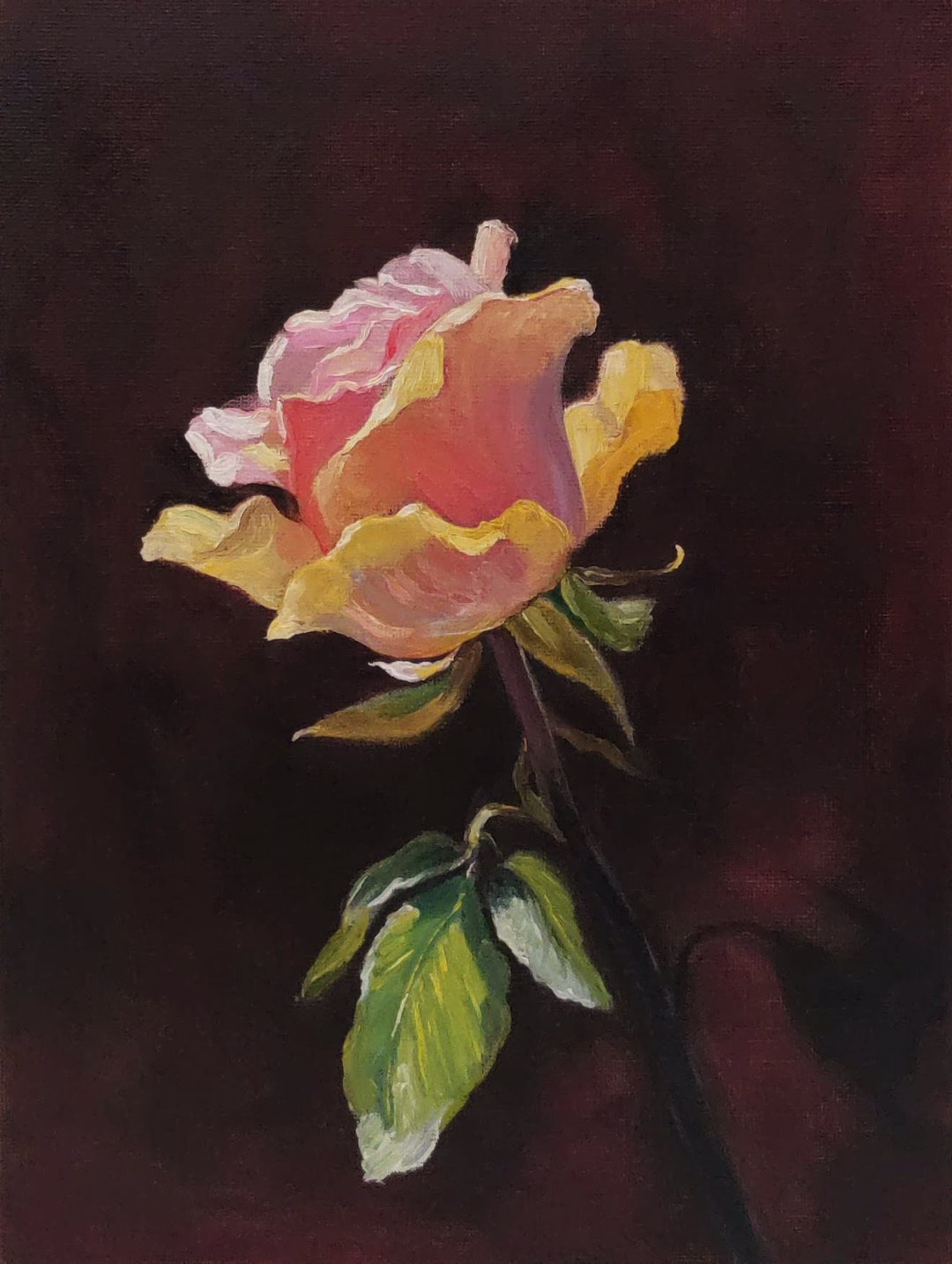 Rose. Original Oil Painting on Canvas Board 9'x12". Garden Flowers Home ...