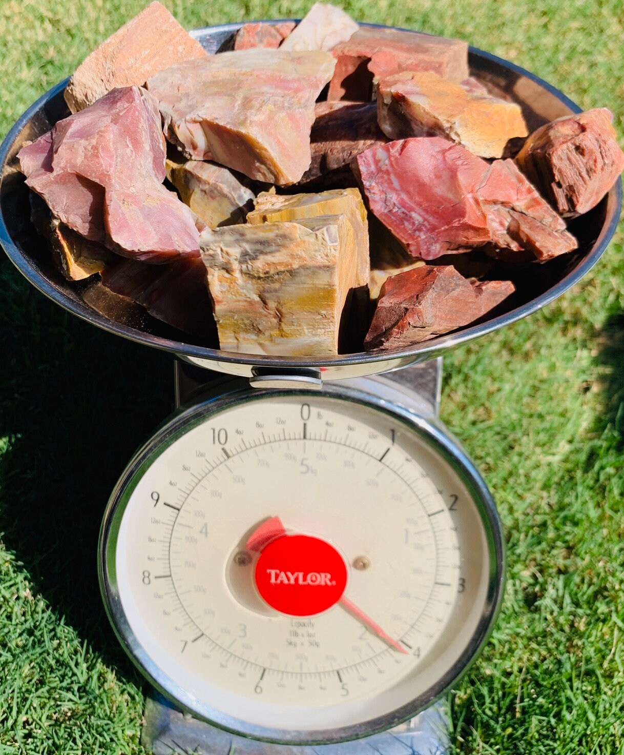 4 LBS of 2" - 3" Assorted Shapes Sizes & Colors Natural Arizona Rainbow ...