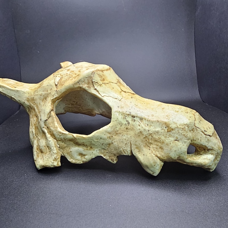 Cubone Skull - Etsy