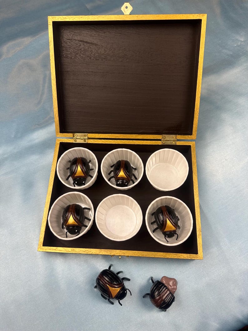 Handmade Coraline Cocoa Beetles Box - Etsy
