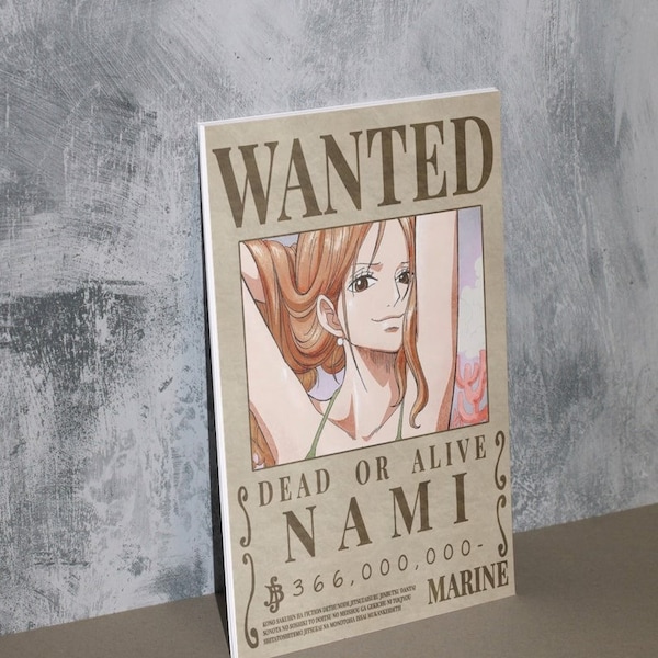 Bounty Poster One Piece - Etsy