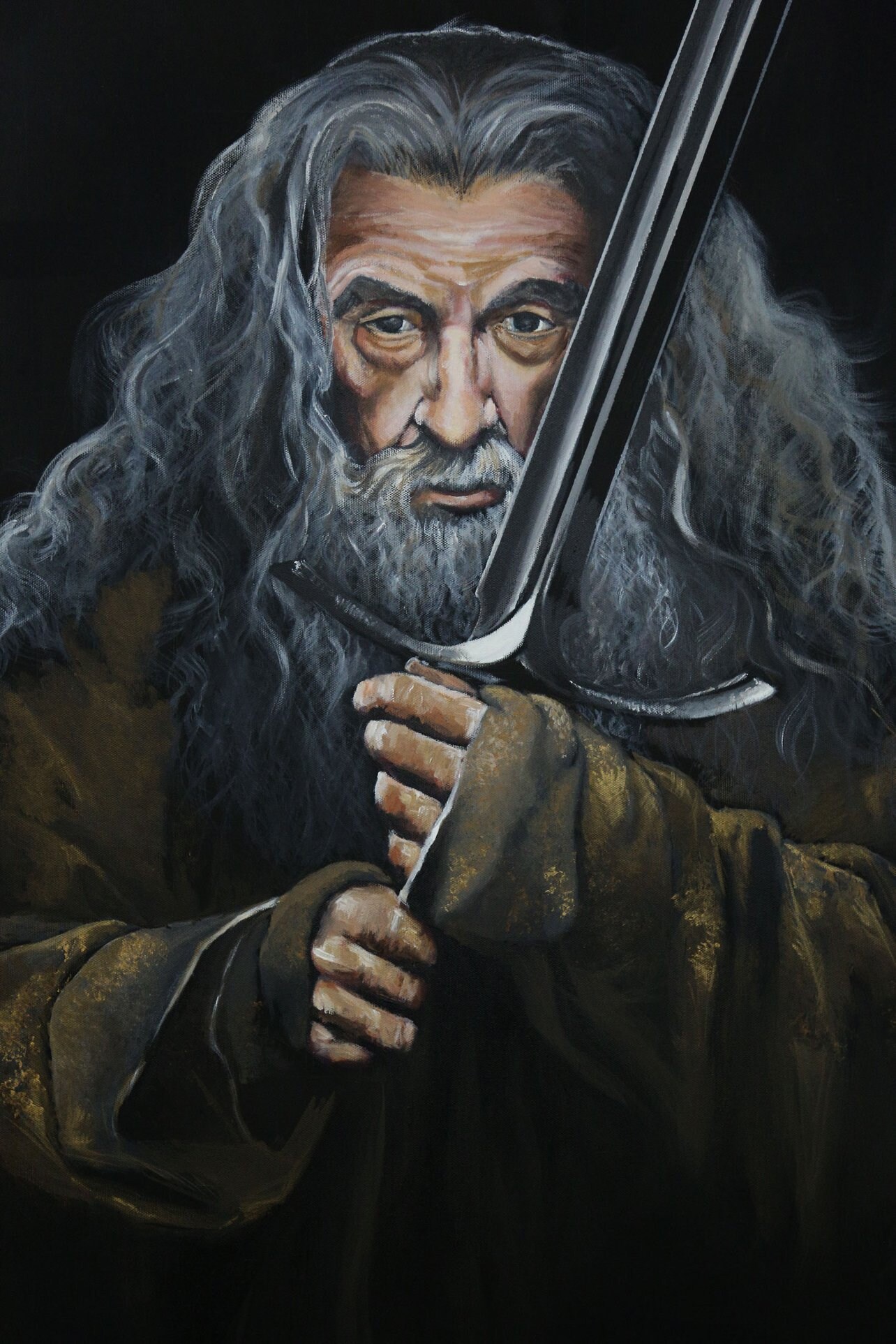 Gandalf The Grey You Shall Not Pass