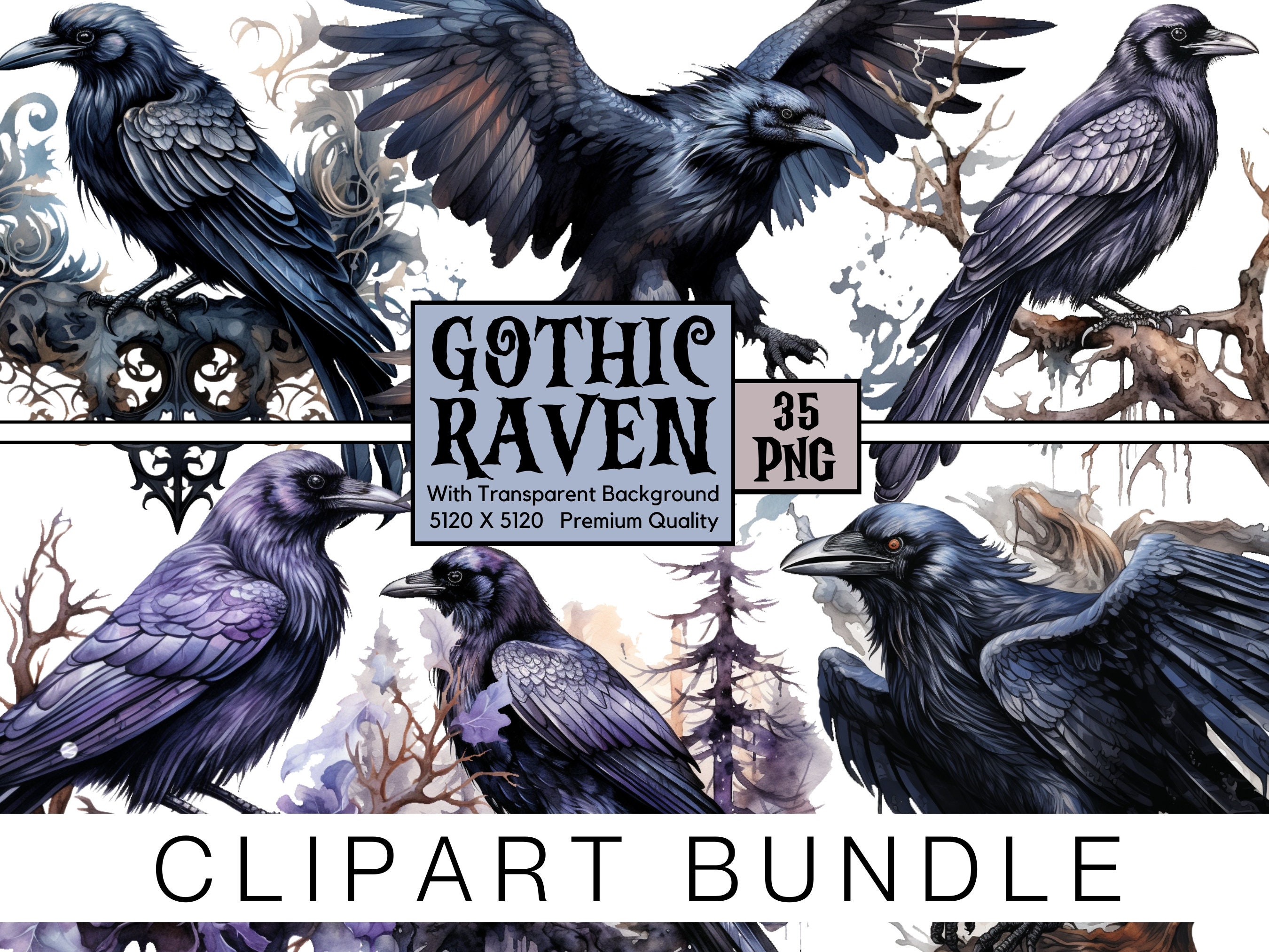 Watercolor Gothic Raven Clipart, Black Raven Png, Gothic Bird Png ...