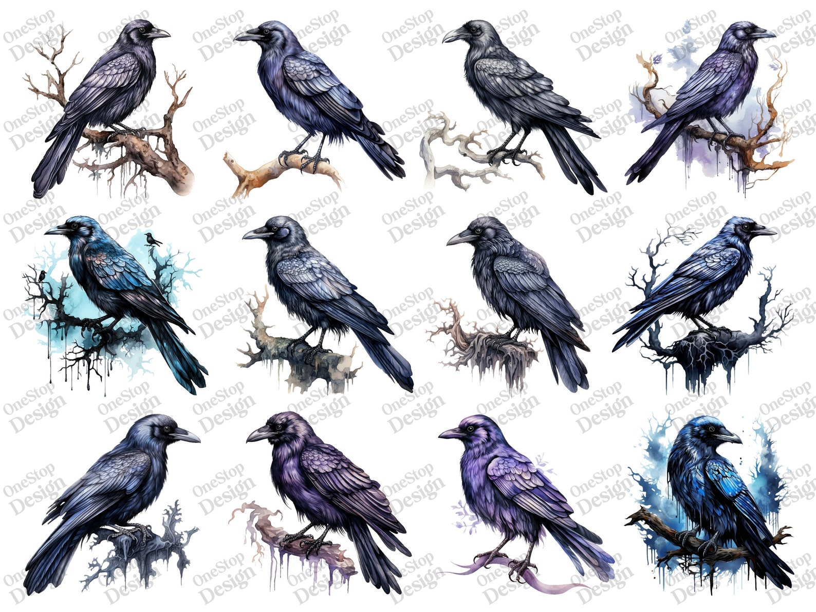 Watercolor Gothic Raven Clipart, Black Raven Png, Gothic Bird Png ...
