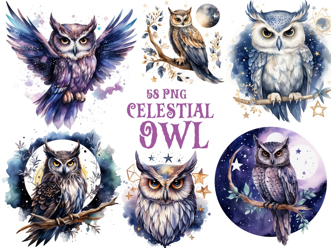 Watercolor Celestial Owl Png, Mystical Owl, Magical Owl Sublimation ...