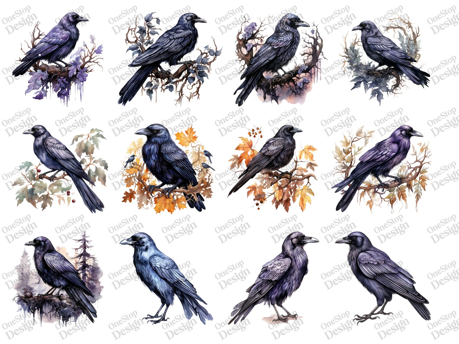 Watercolor Gothic Raven Clipart, Black Raven Png, Gothic Bird Png ...