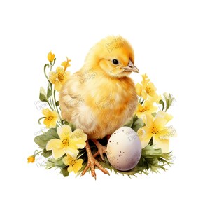 Watercolor Easter Chick Clipart, Baby Chick Png, Spring Clipart, Easter ...