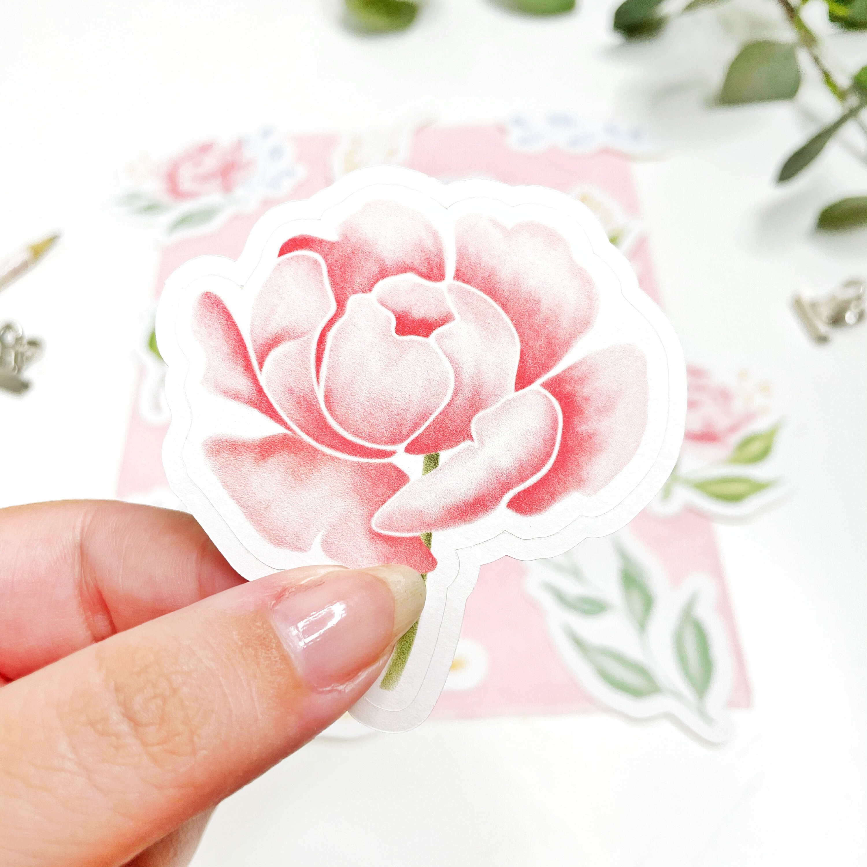 Sticker Pack peonies 11 Die-cut Stickers - Etsy