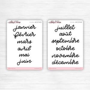 Stickers Months of the Year Handwritten 3 Different Fonts 12 Months on ...