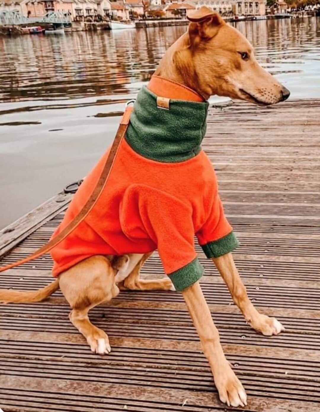 Jumper Whippet Iggy Sighthound Short Sleeve Polar Fleece Outdoor Shower ...