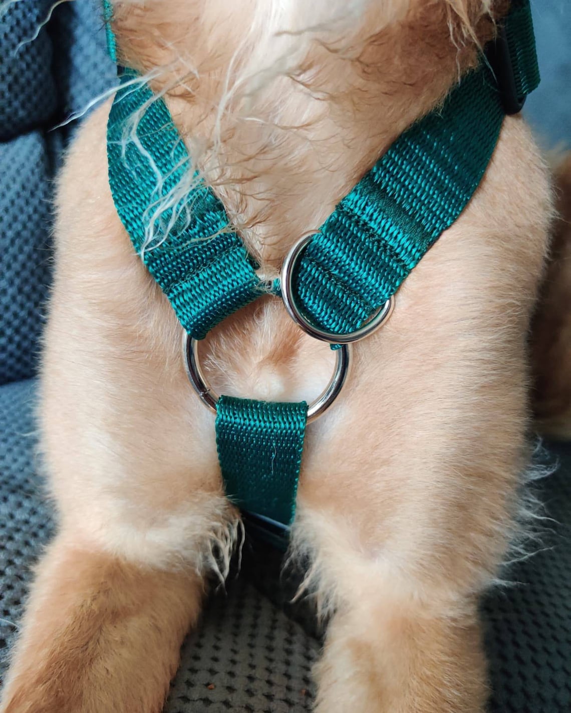 Dog Harness Anti Escape Escape Resistant 3 Strap 7 Way - Etsy