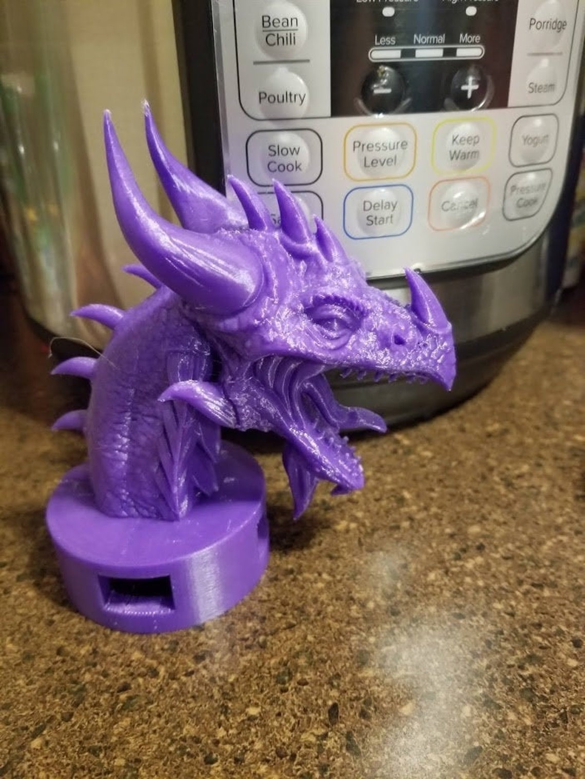 Instant Pot Dragon Color Changing Edition - Lux - Etsy
