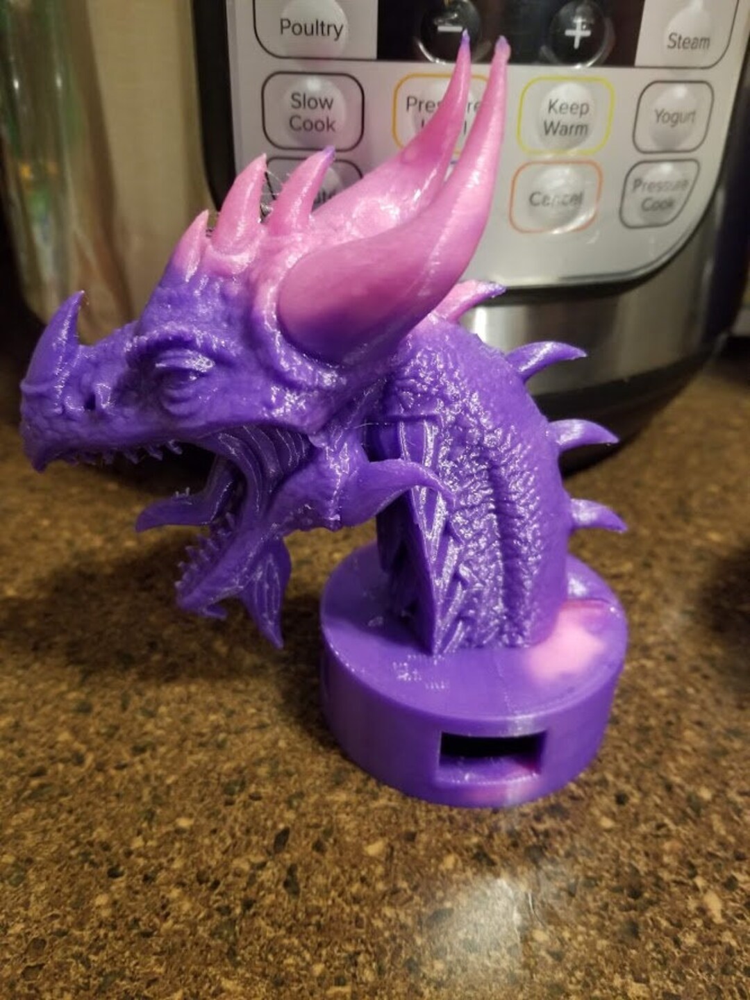 Instant Pot Dragon Color Changing Edition - Lux - Etsy
