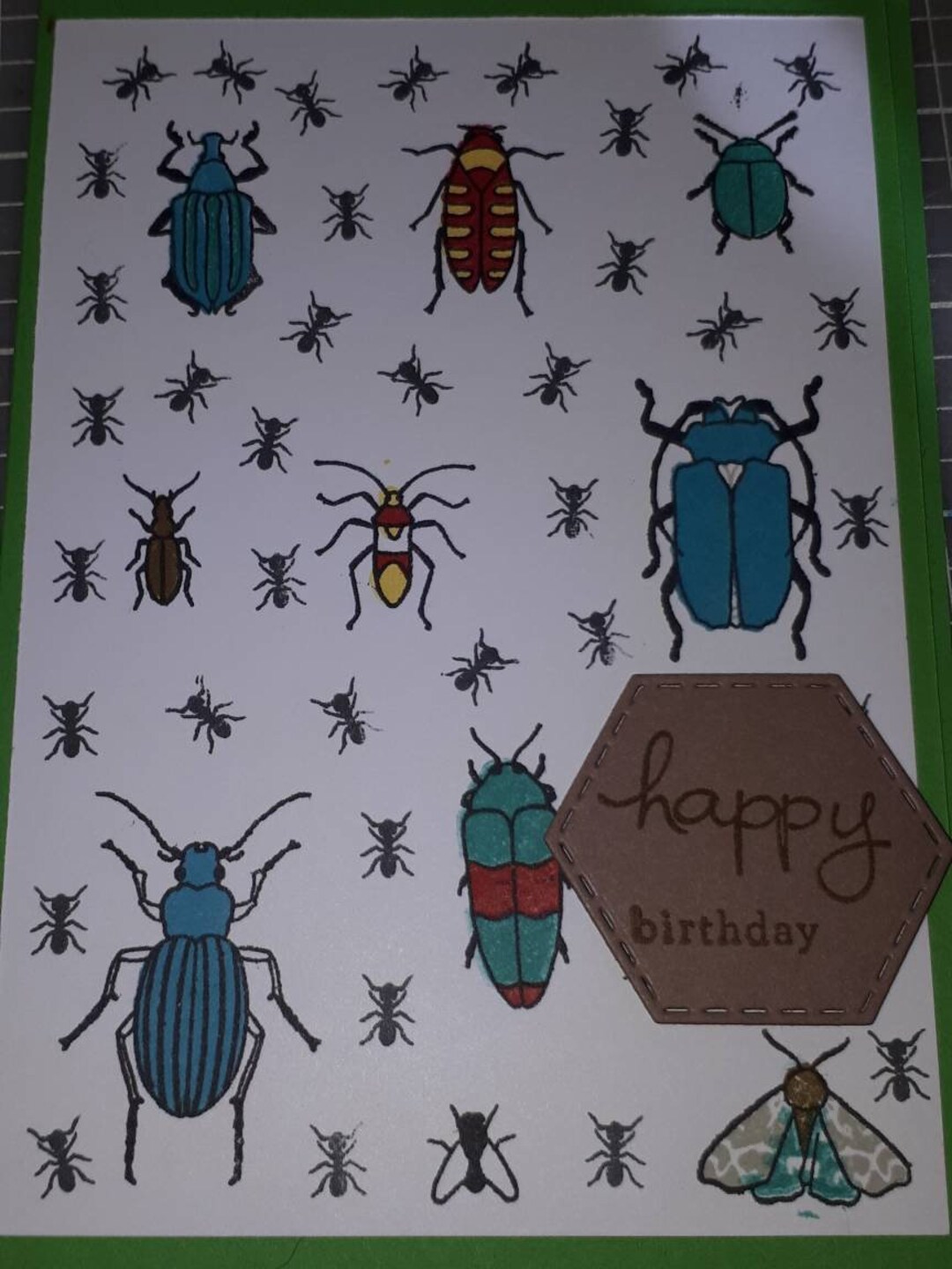 Lots of Bugs Birthday Card - Etsy