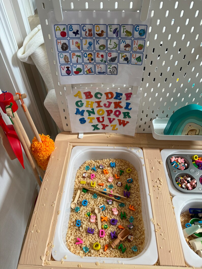 Alphabets and Animals Rainbow Sensory Bin - Etsy