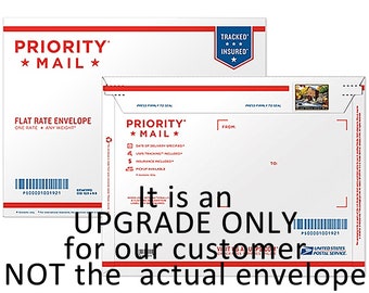 Priority Express Mail UPGRADE for A to Z Shirts Customers Only | Etsy