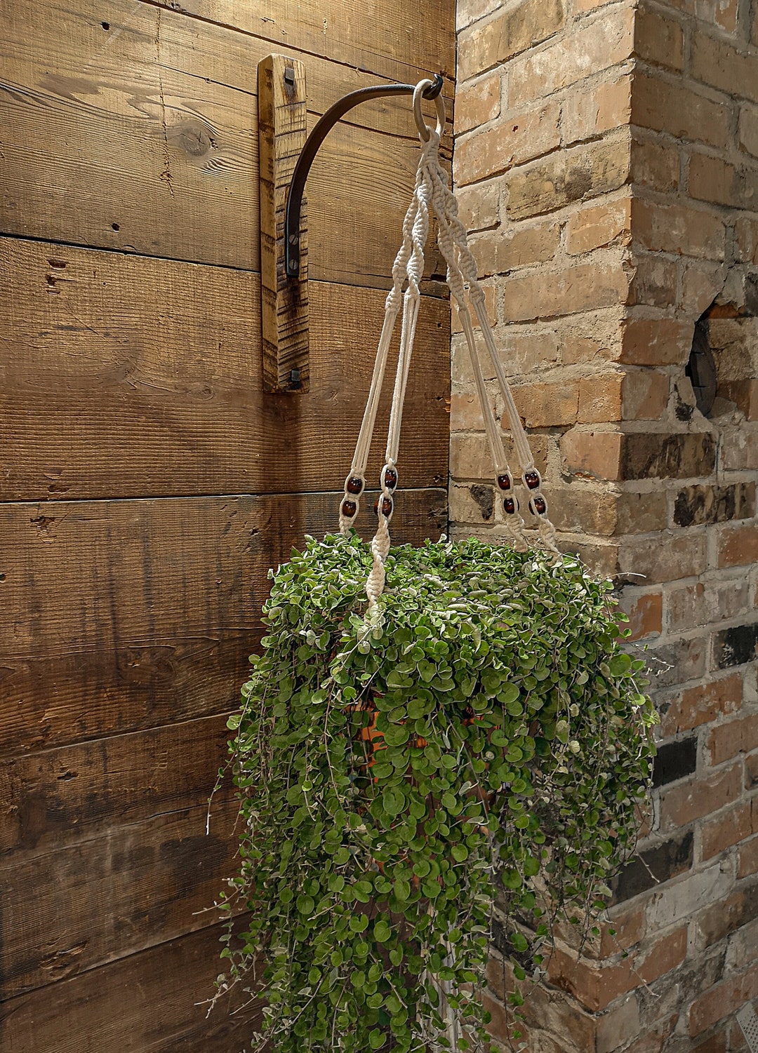 Hand Forged Plant Hanger - Reclaimed Oak Mount - Hanger Only - Rustic ...