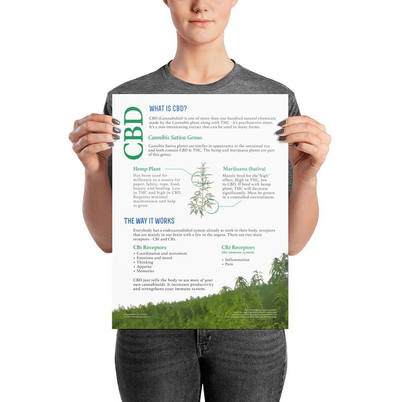 CBD Informational Poster, Photo Paper Semi-glossy, Clean Simple ...