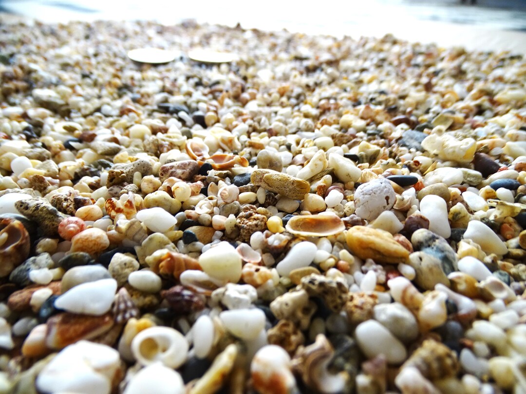 Bulk Beach Sand Variations 1lb or 2lb/natural Gravel Sand With Very ...
