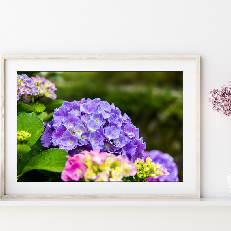 Fused Glass Hydrangea - Etsy