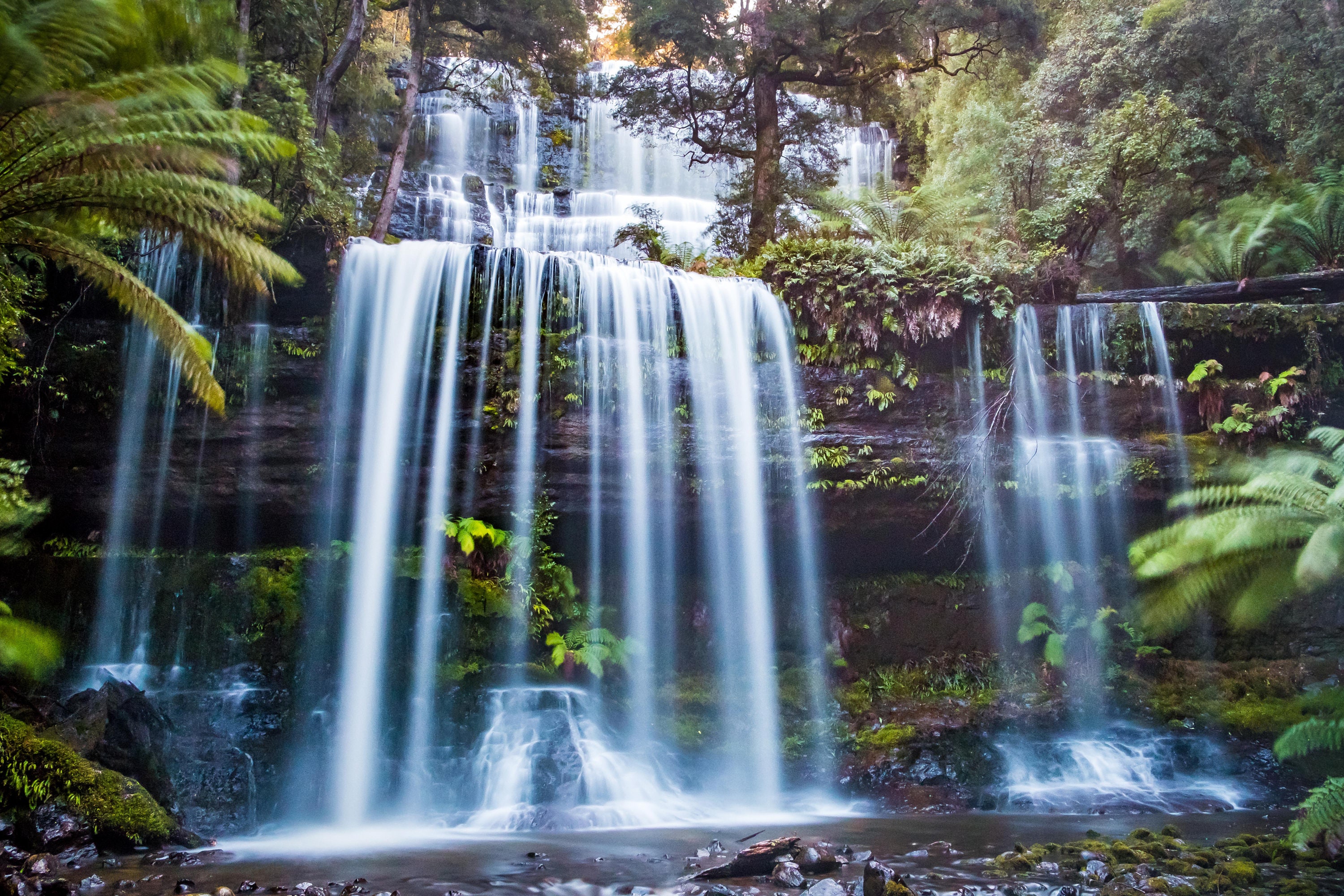 Russell Falls Waterfall, Mt Field, Tasmania, Australia, Decoración del ...