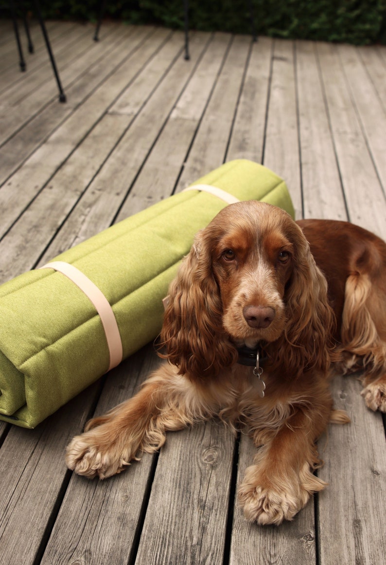 FOSSER Modern Dog Mat Scandinavian Design Gift for Dog - Etsy