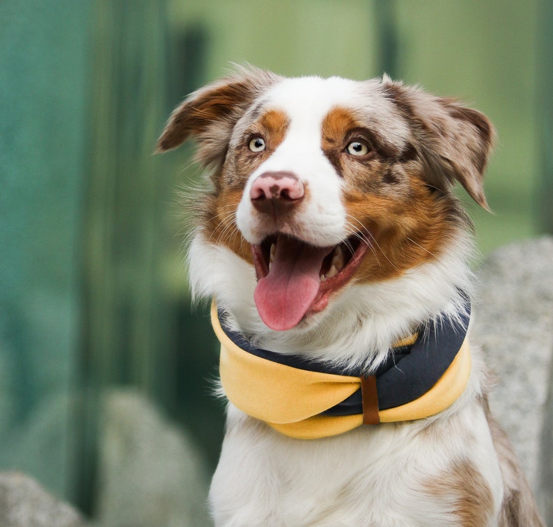 Modern SIMO, Double Dog Neck Warmer, Scandinavian Design, Gift for Dog ...