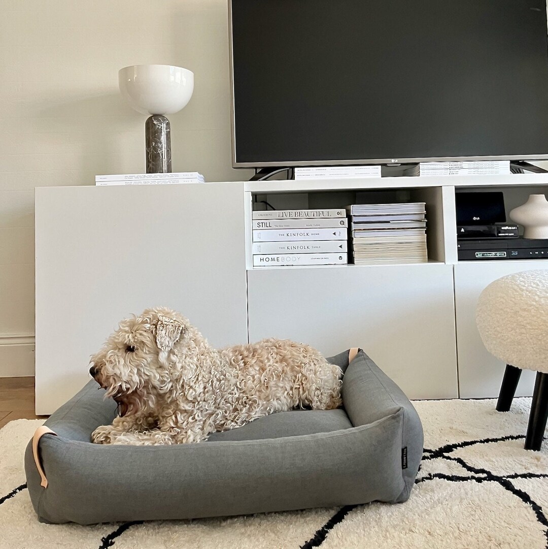 Stylish MOE Dog Bed, Modern Designer Sofa, Pet Furniture - Etsy