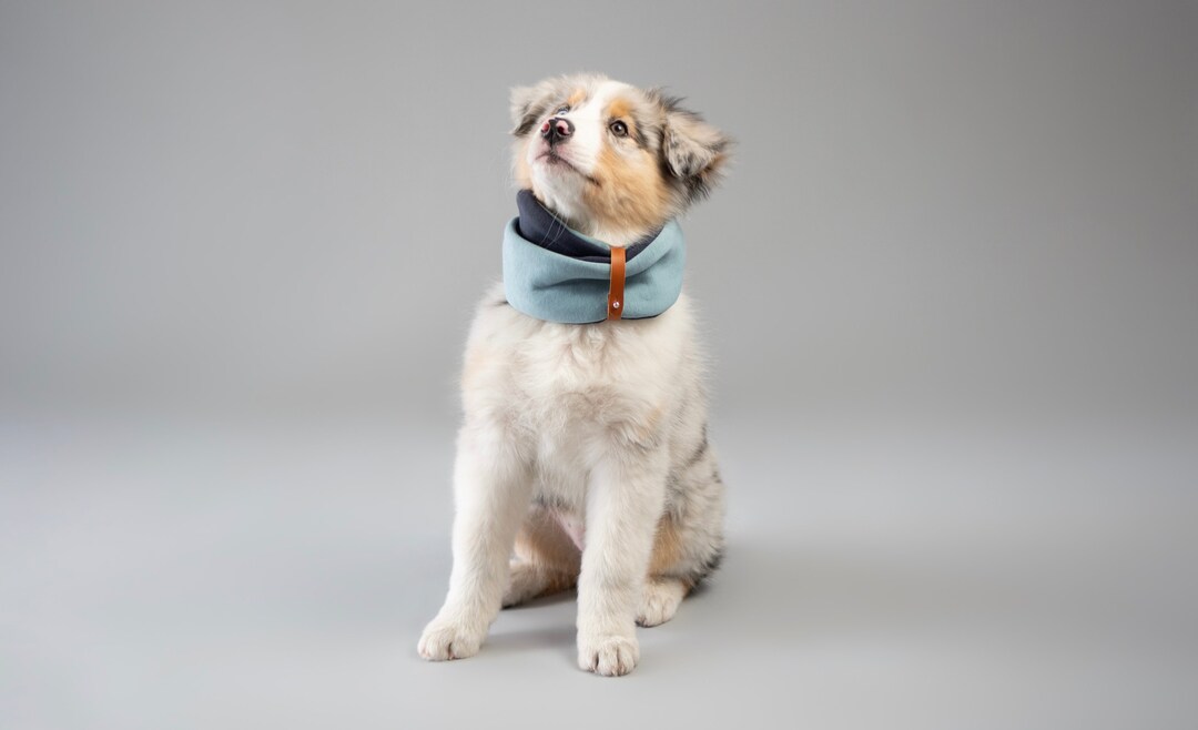 Modern SIMO, Double Dog Neck Warmer, Scandinavian Design, Gift for Dog ...