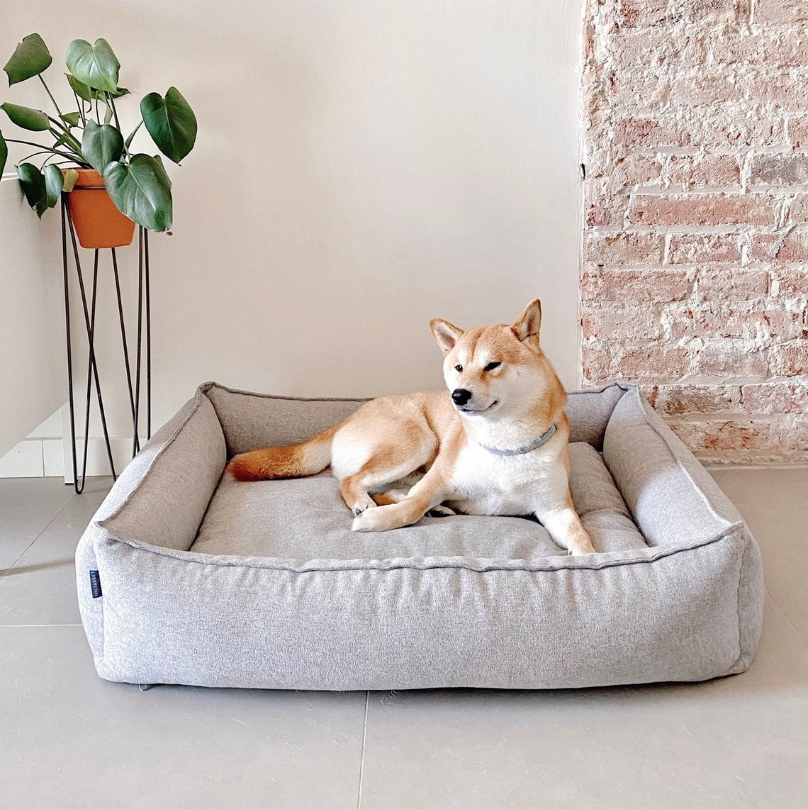Stylish MØVIK Dog Bed Modern Design Dog Sofa Designer Bed - Etsy