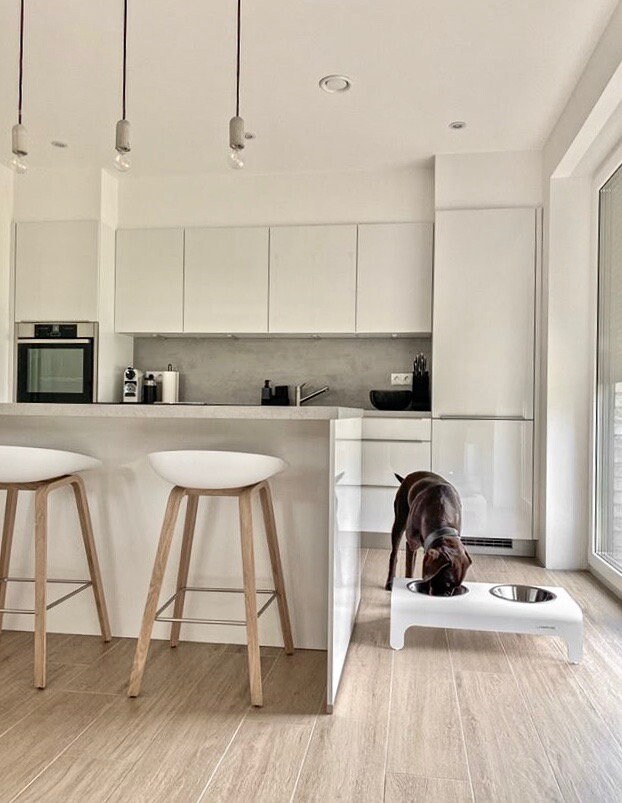 RICO, Stylish Dog Feeder, Dog Buffet, Dog Gift, Dog Bowl, Dog Food, Pet ...