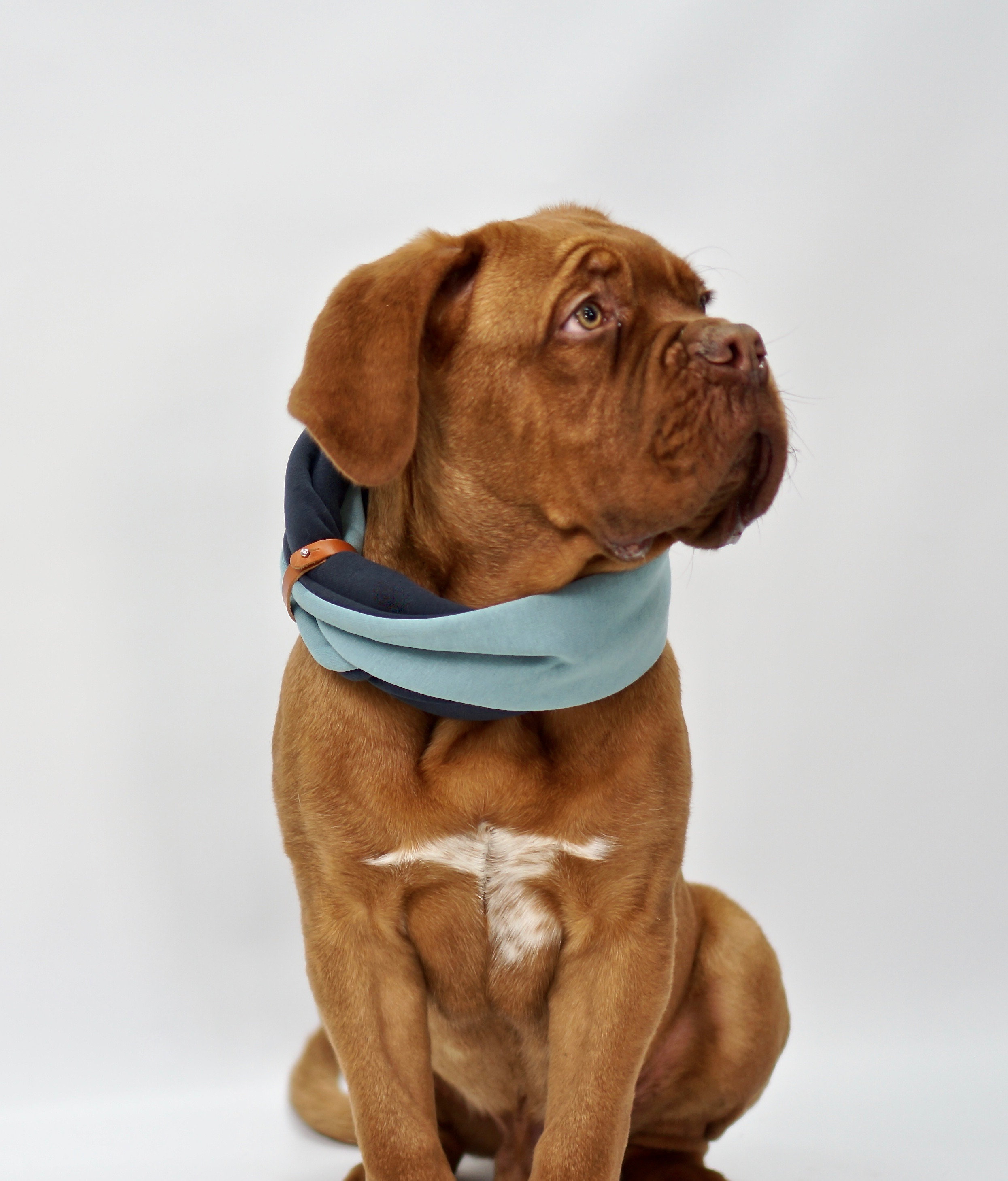 Modern SIMO, Double Dog Neck Warmer, Scandinavian Design, Gift for Dog ...