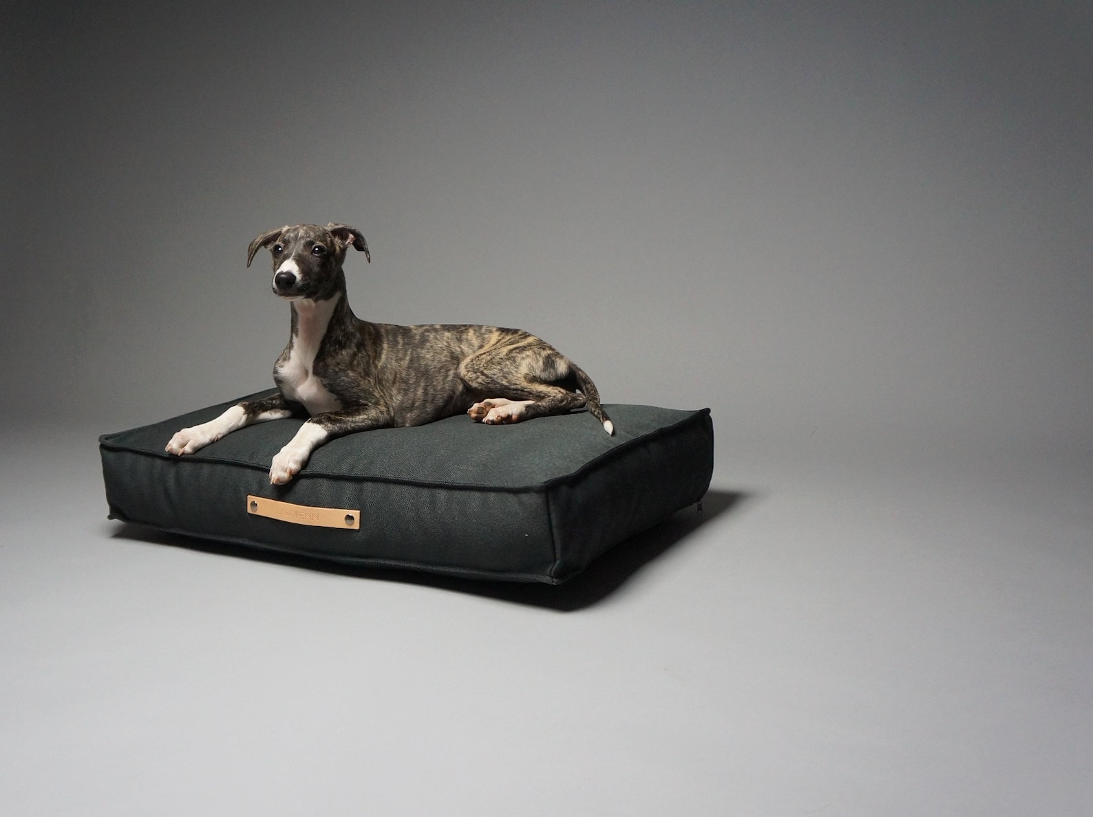 Stylish Dog Bed, TÖVE Cushion, Modern Design, Dog Cushion, Designer Bed ...